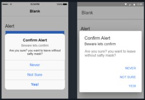 Ionic 5 Alert, Confirm and Prompt Component Tutorial with Example ...